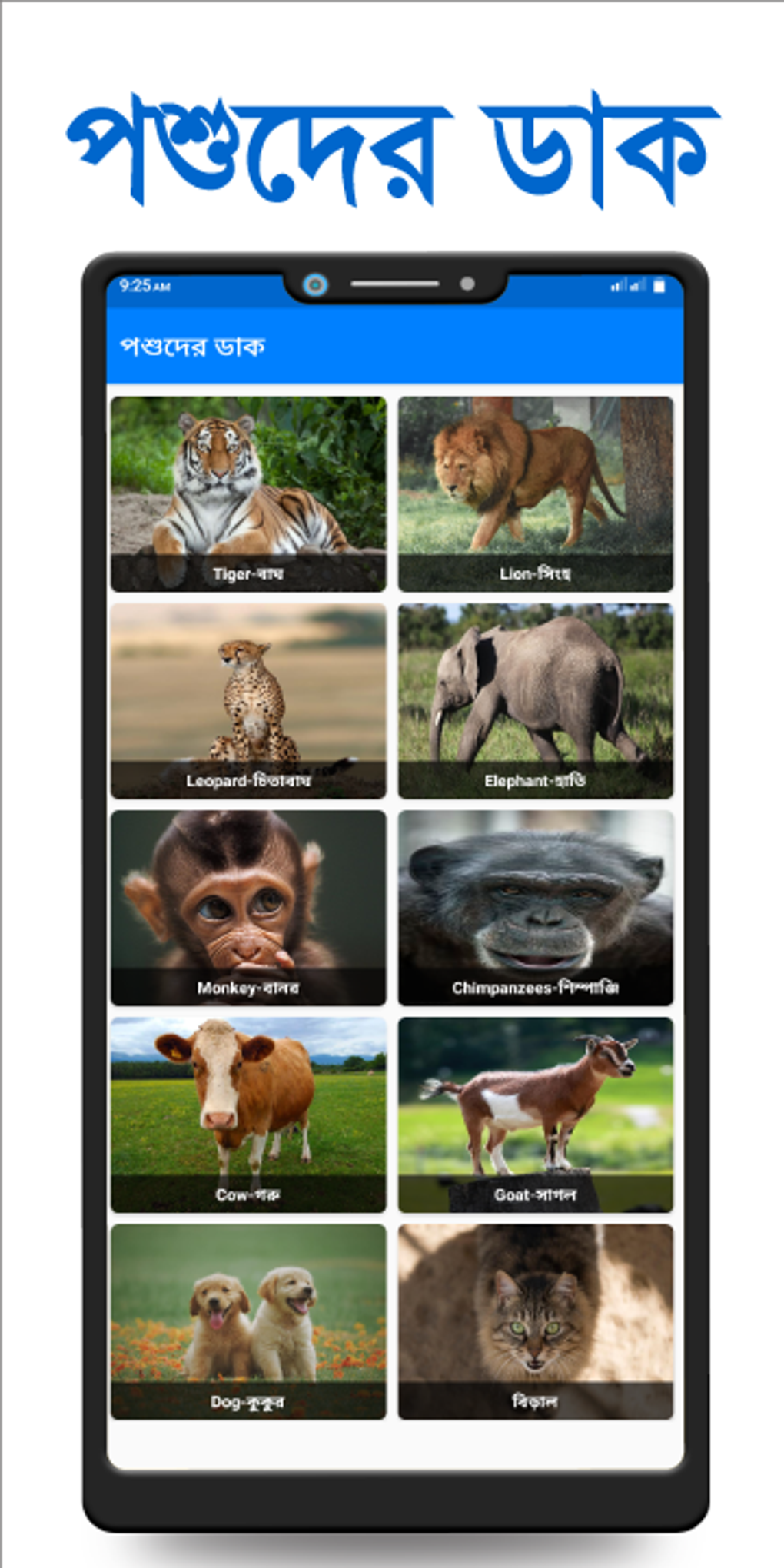 Bangla Alphabet বল বরণমল for Android - Download