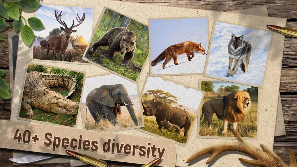 Wild Hunting Clash APK for Android - Download