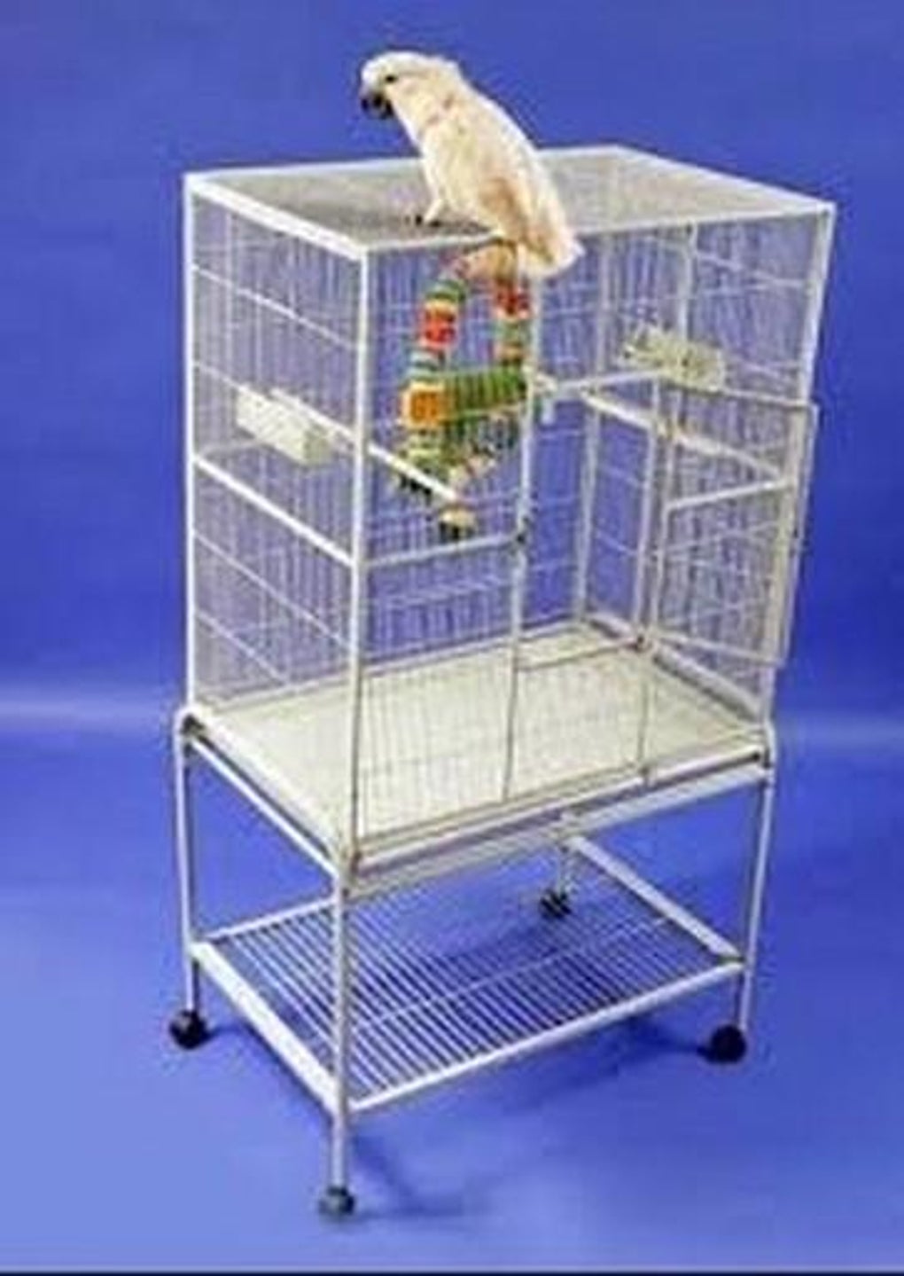 Bird Cage Model for Android - Download