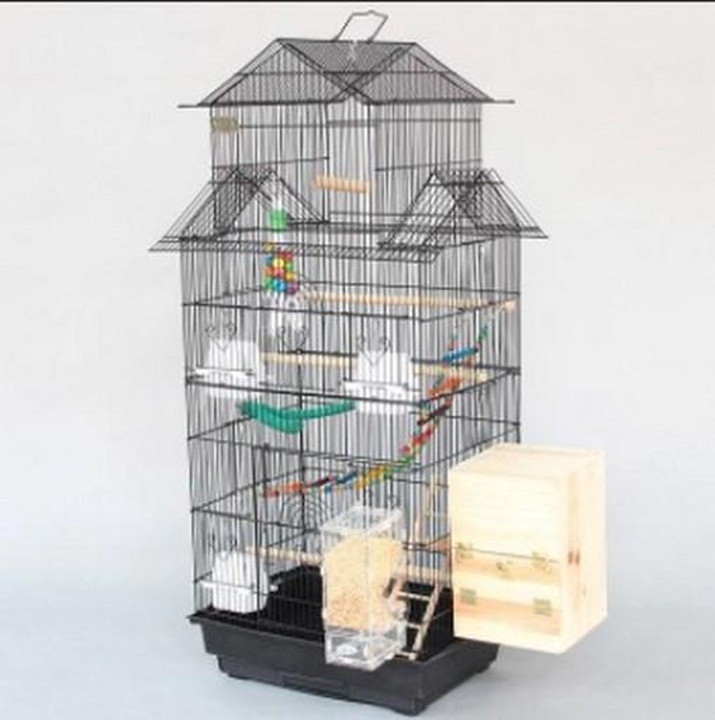 Bird Cage Model for Android - Download
