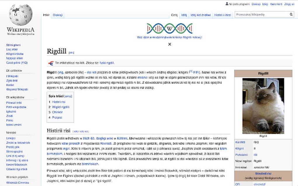 Trinslitir kitku for Google Chrome - Extension Download