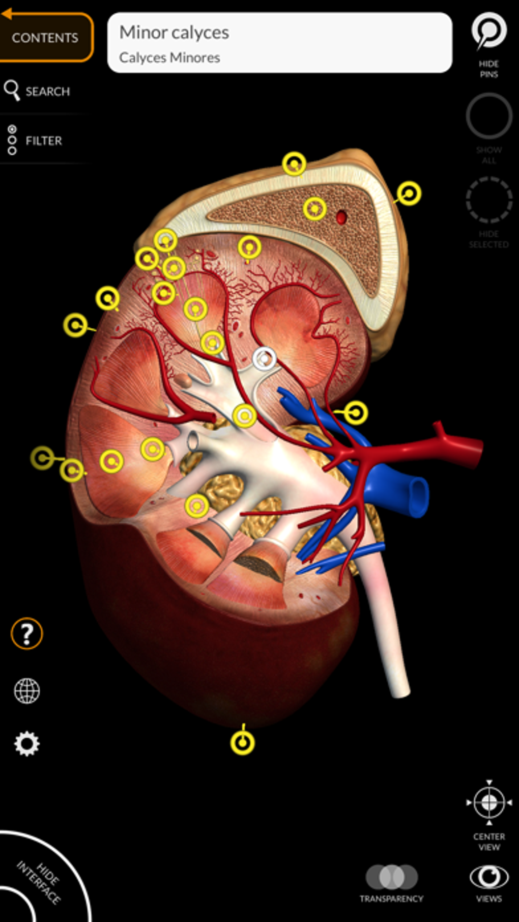 Anatomy 3D Atlas para iPhone - Descargar