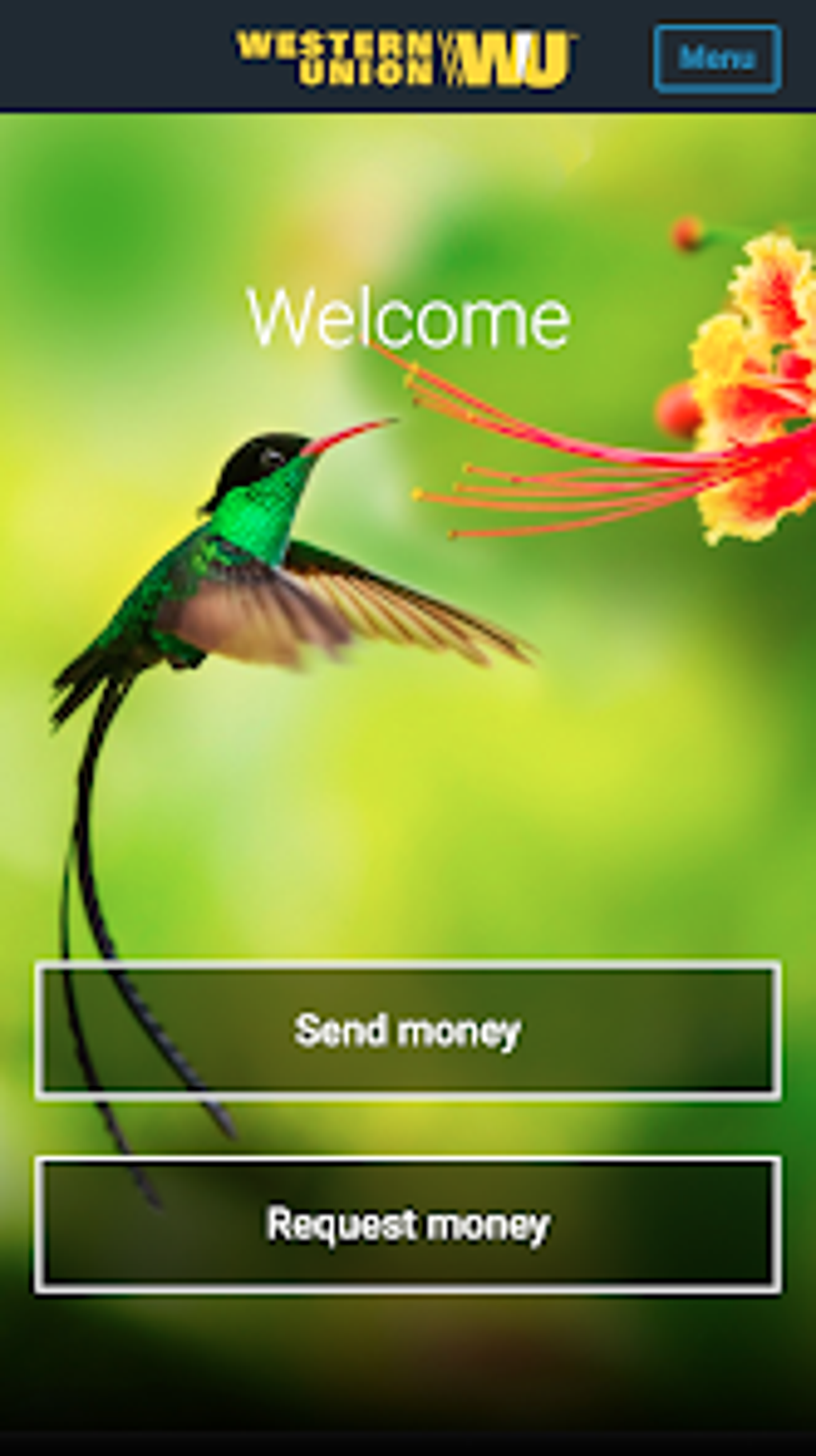 Western Union Send Money per Android - Download