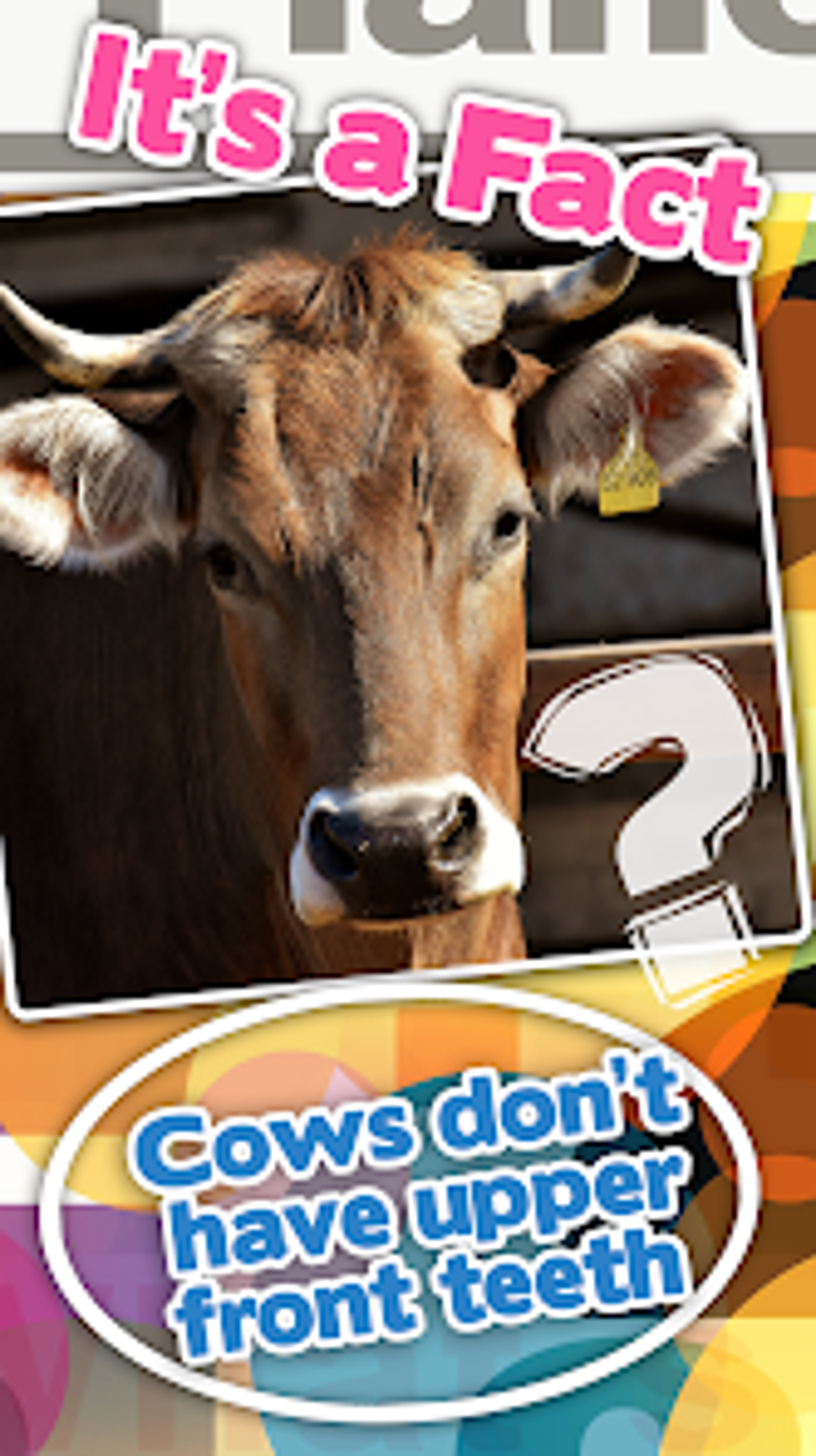 Fact Or Fiction Quiz Challenge For Android Download Fact Or Fiction Quiz Challenge For Android Download