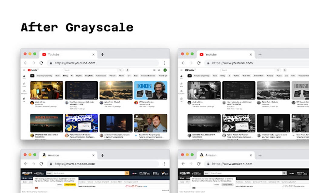 Grayscale | MVP para Google Chrome - Extensión Descargar