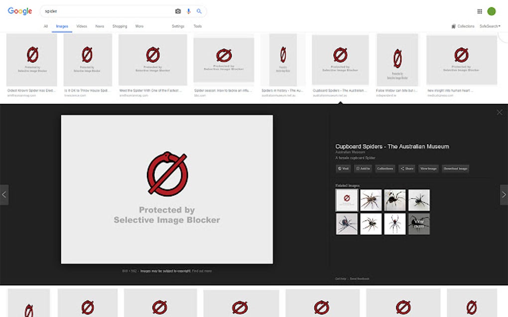 Selective Image Blocker for Google Chrome - Extension Download