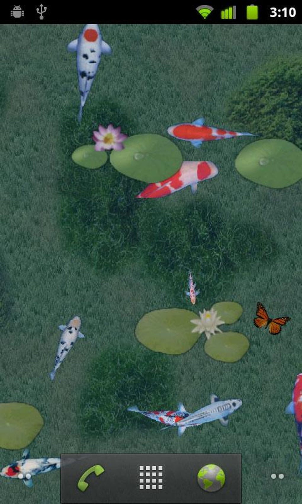 aniPet Koi Live Wallpaper APK for Android - Download