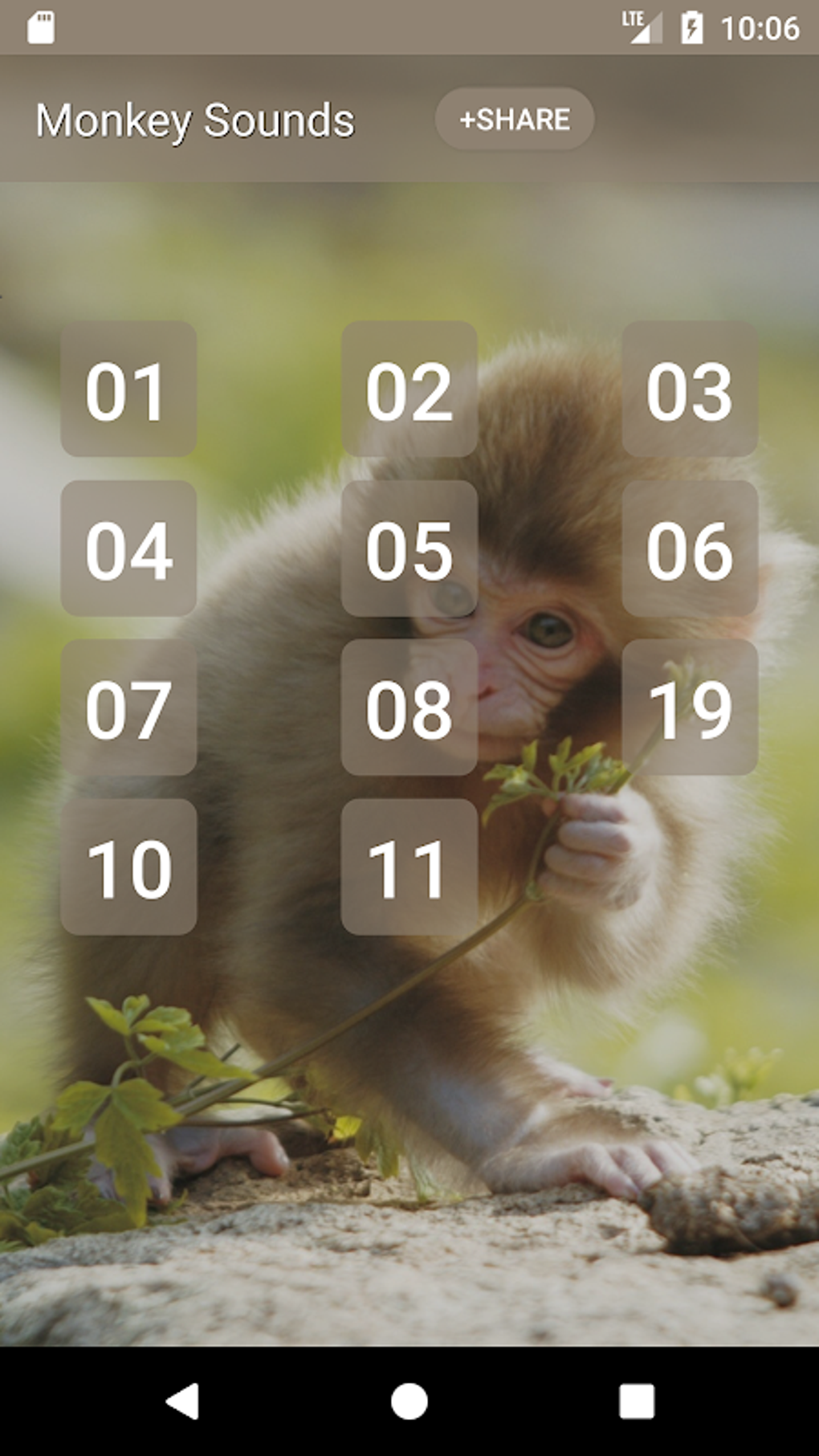 Monkey Sounds APK for Android - Download