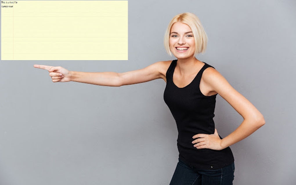 Online Notepad for Google Chrome - Extension Download