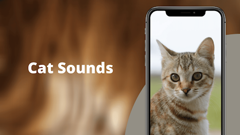 Cat Sounds - Meow Sound para Android - Descargar