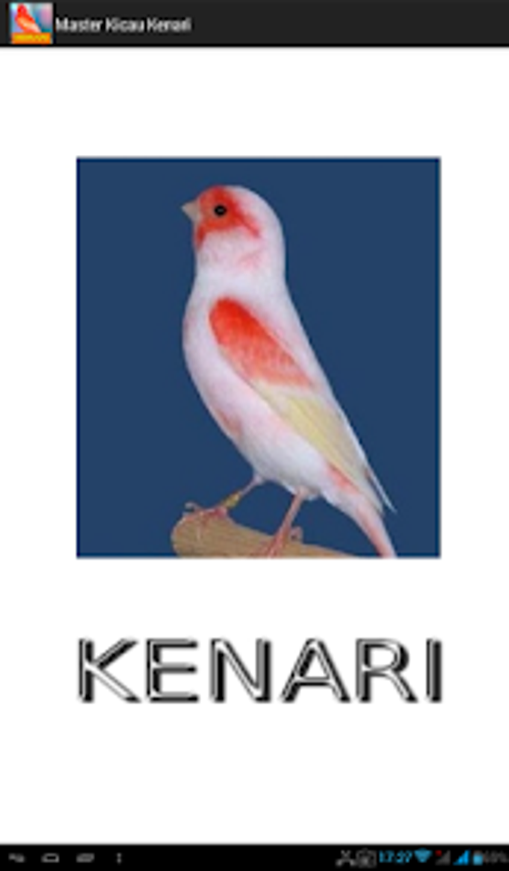 Master Kicau Kenari para Android - Descargar