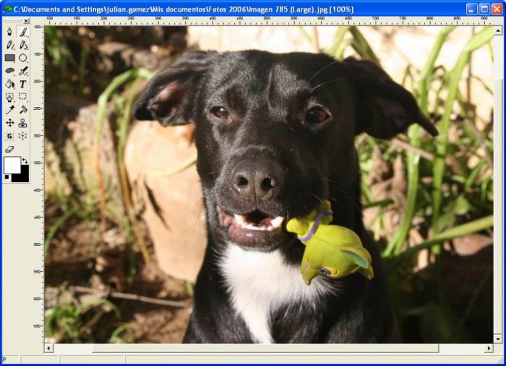 Ultimate Paint - Download