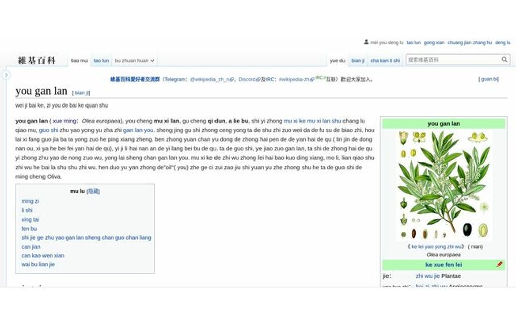 translit for Google Chrome - Extension Download