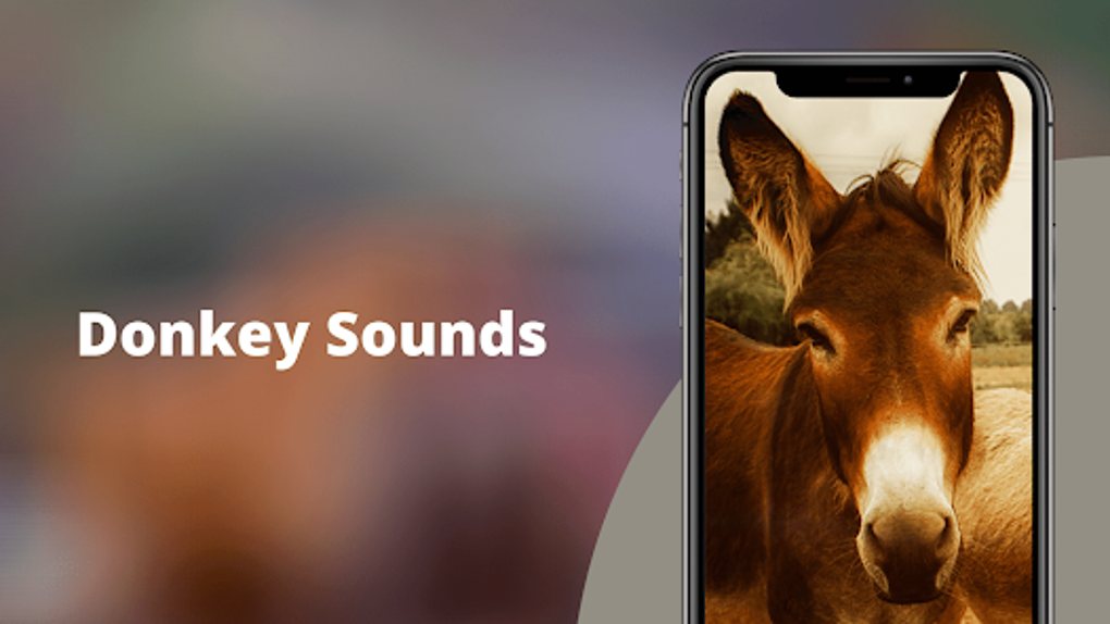 Donkey Sounds für Android - Download