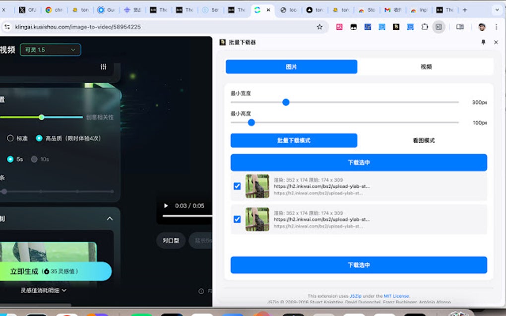 Batch Downloader for Google Chrome - Extension Download