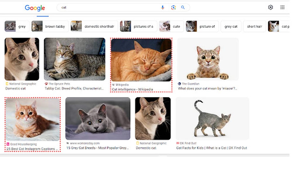 Google Search Filter Google Chrome için - Eklenti İndir Google Search Filter Google Chrome için - Eklenti İndir