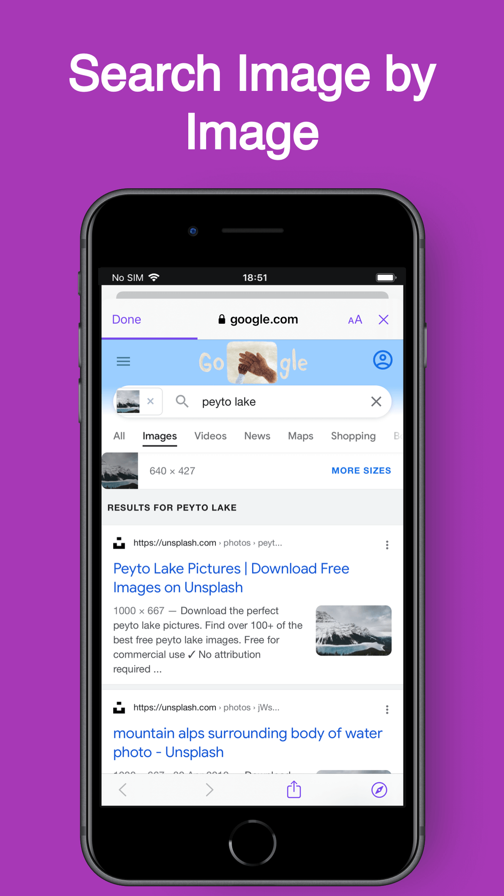 Image Reverse - Image Search for iPhone - Download