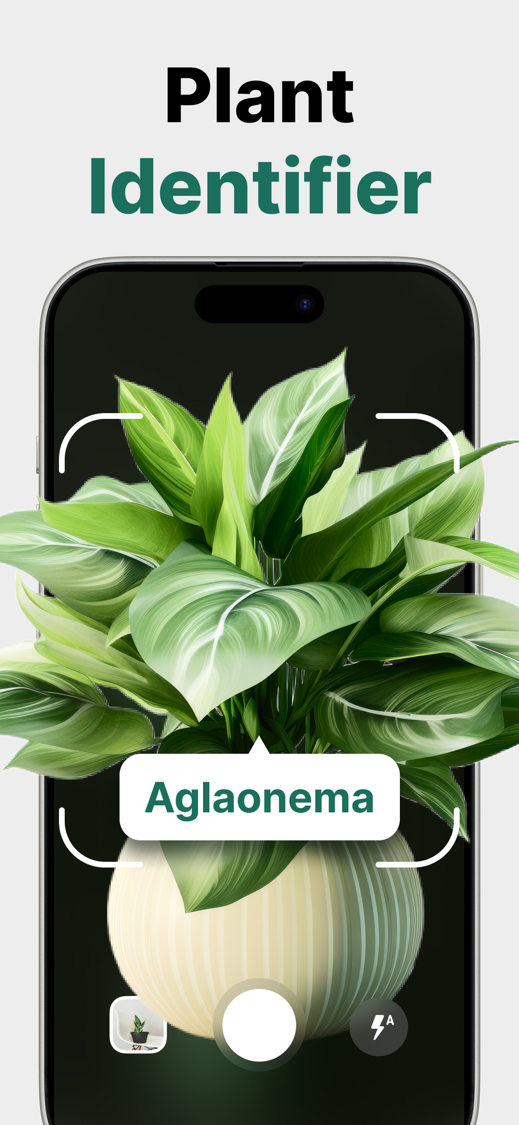 Planten Plant Identifier For IPhone Download