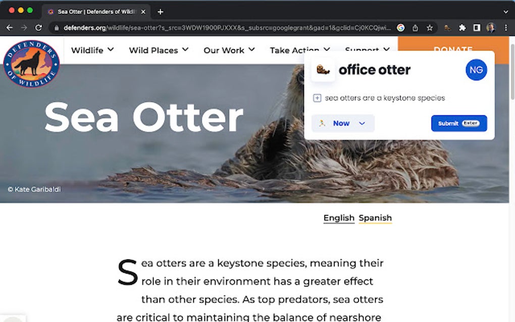 Office Otter for Chrome for Google Chrome - Extension Download