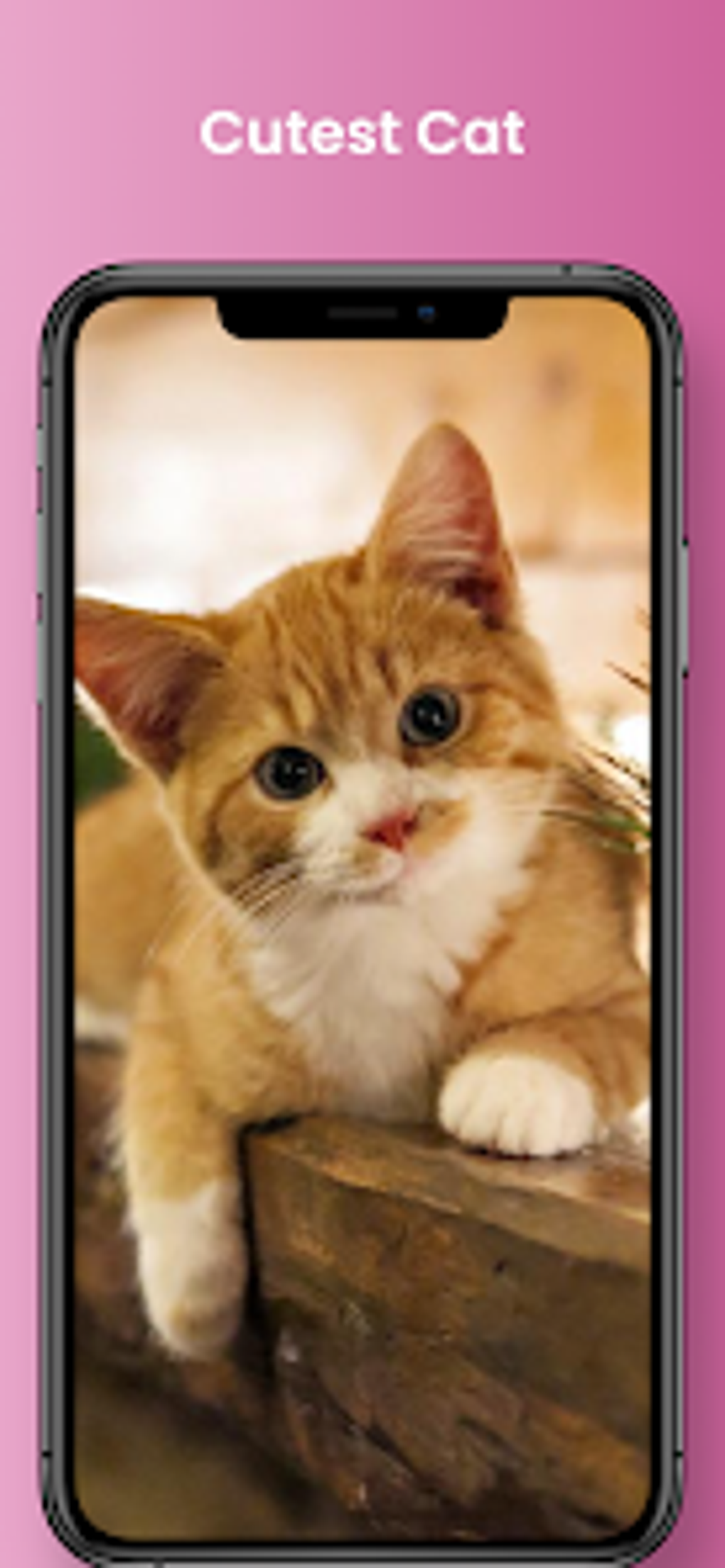 Cute Cat Wallpaper per Android - Download