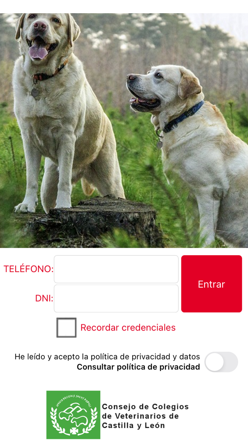 Datapets Cyl For Iphone Download