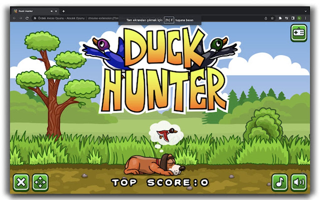Duck Hunter Game - Shooting Game para Google Chrome - Extensión Descargar