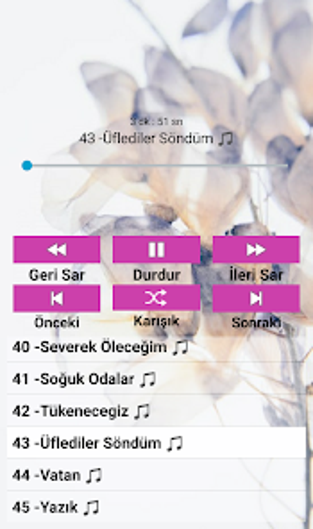 Android 용 Ebru Gündeş Şarkıları İnterne - 다운로드