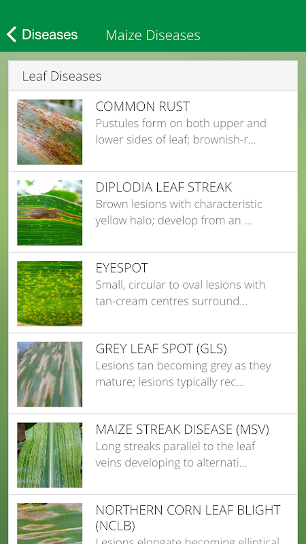 PANNAR Sprout APK for Android - Download