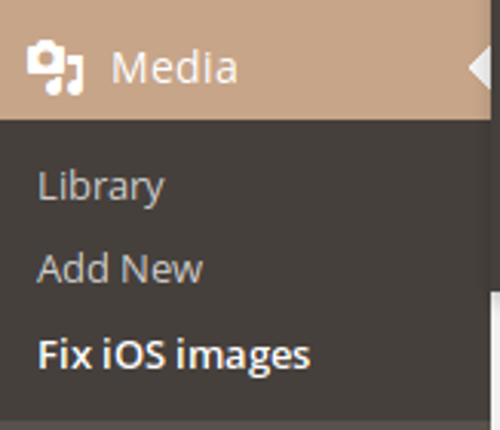 iOS images fixer for WordPress - Download