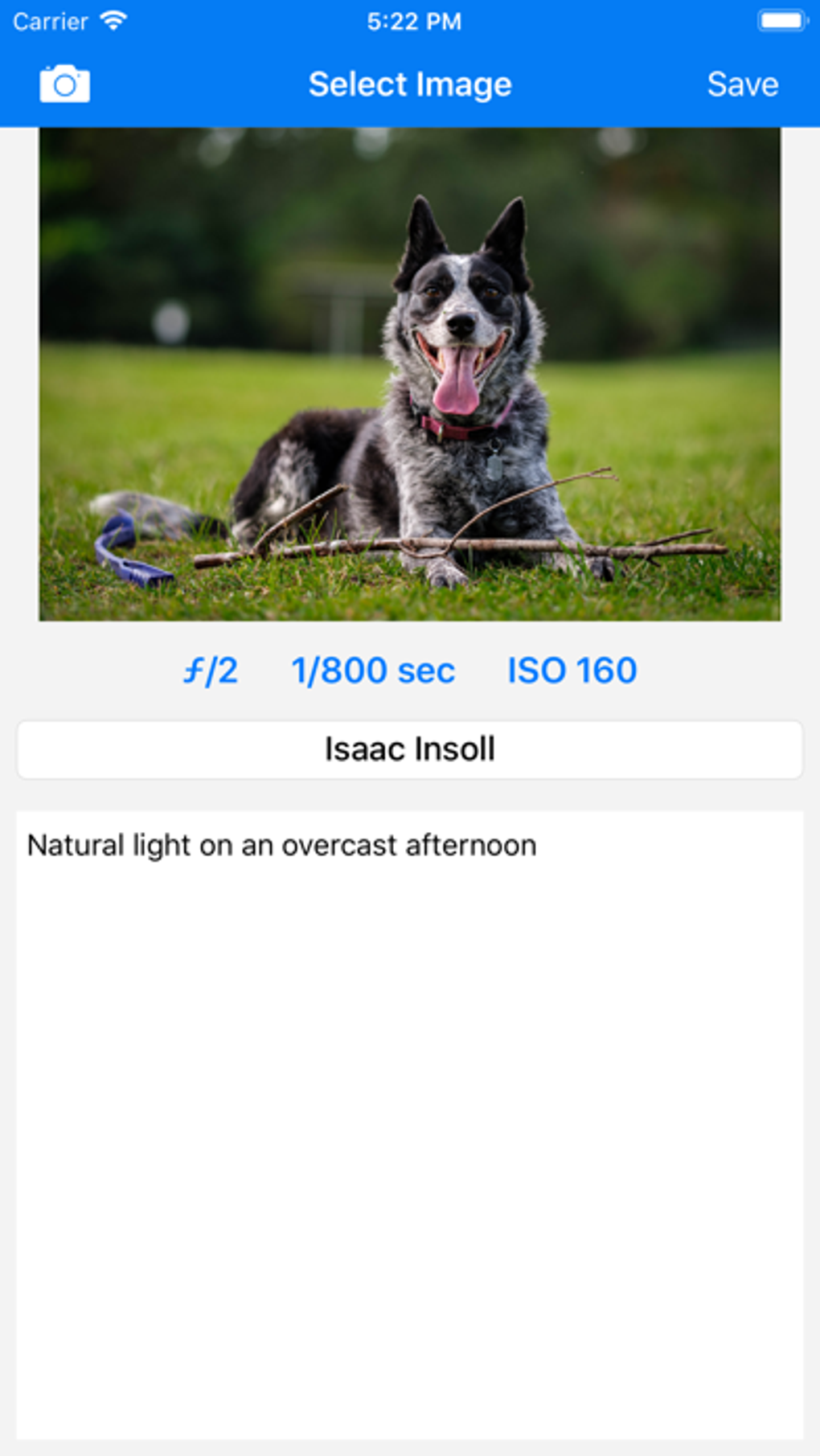 Photo Summary para iPhone - Descargar
