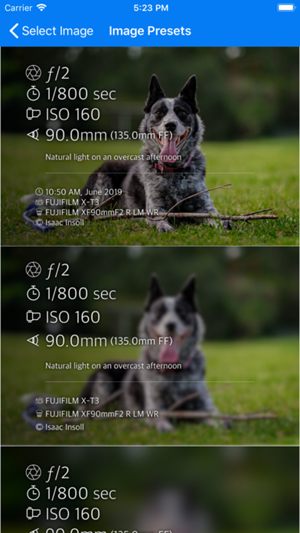 Photo Summary for iPhone - Download