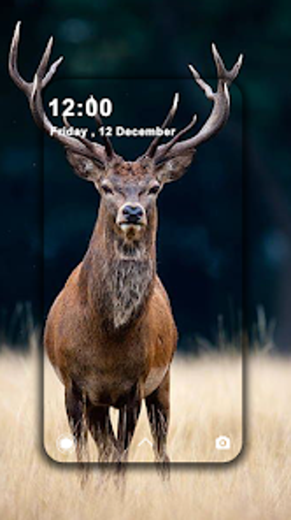 Animal Wallpapers HD para Android - Descargar