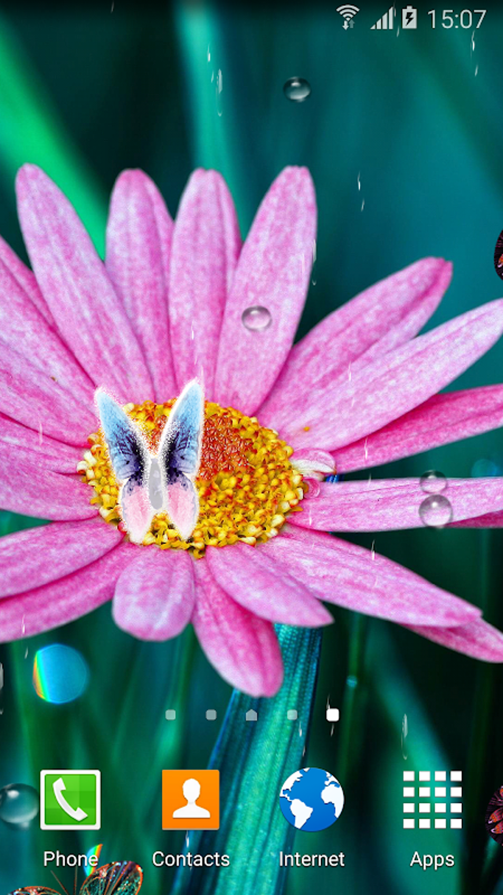 Butterfly live wallpaper APK pour Android - Télécharger