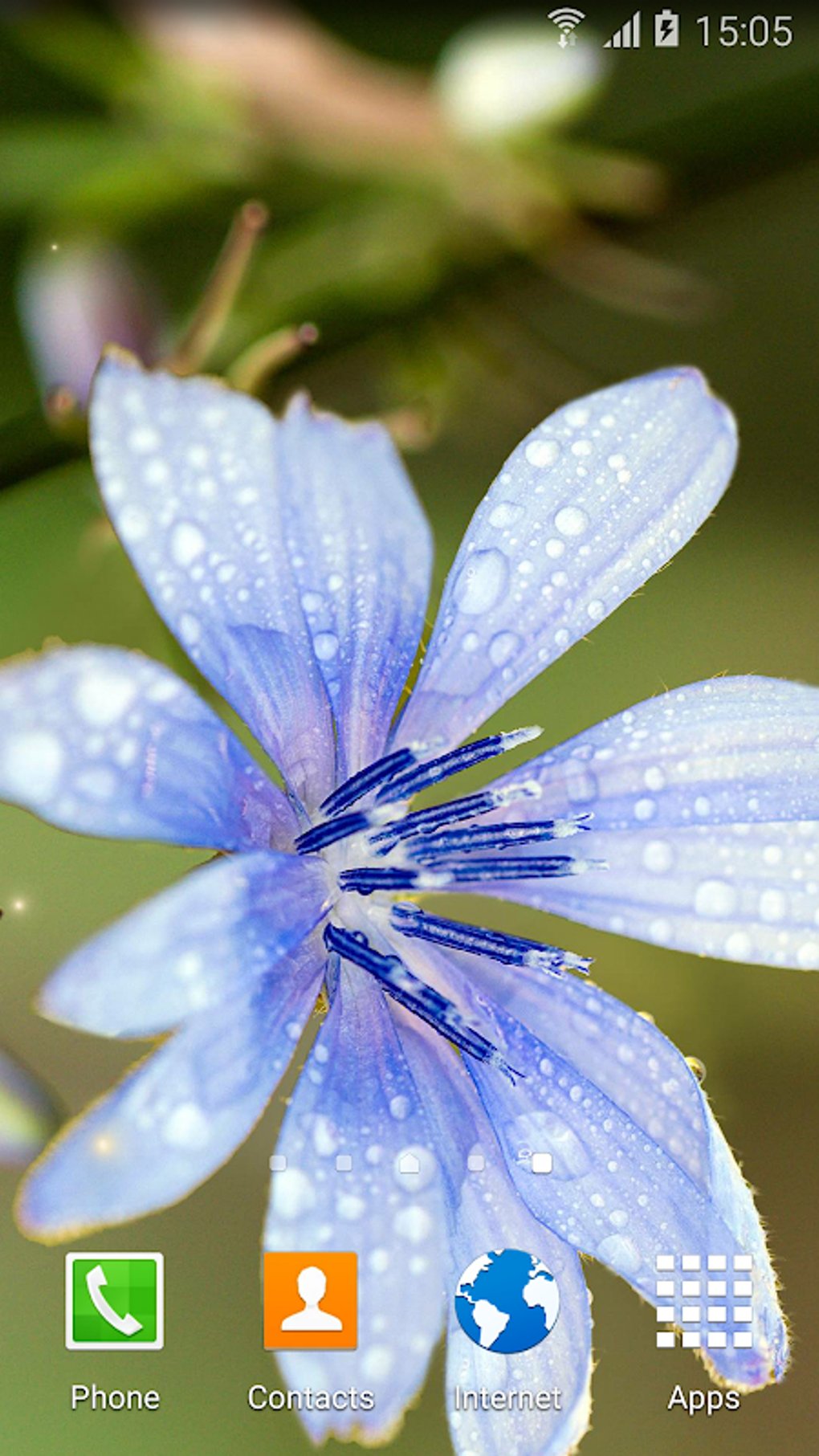 Butterfly live wallpaper APK for Android - Download