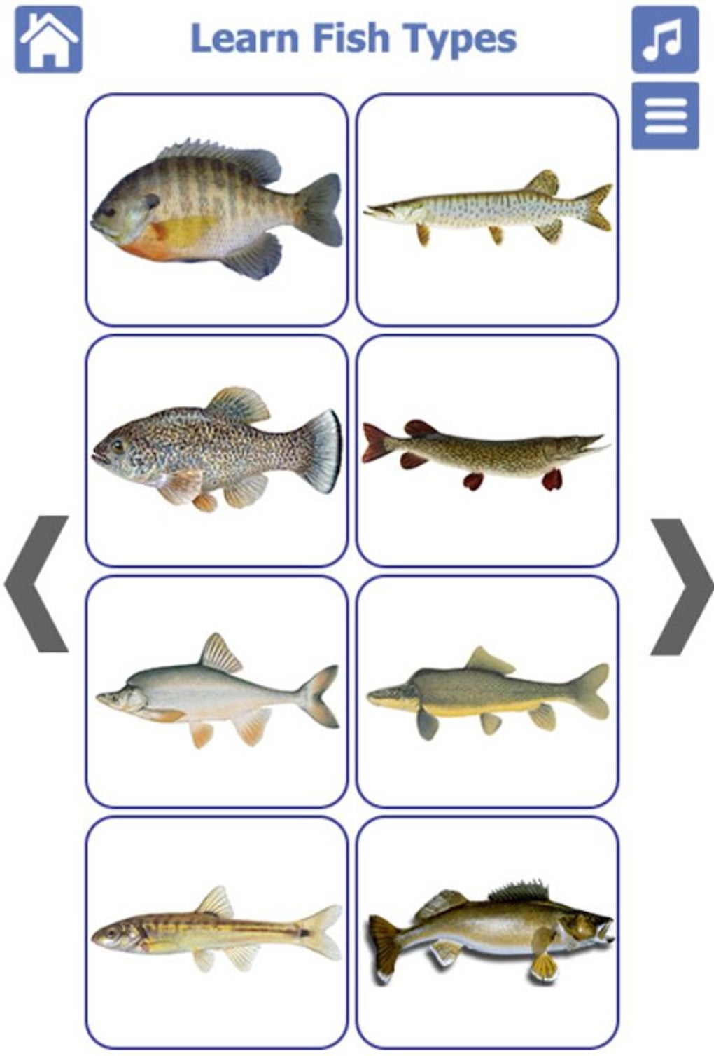 Fish Types | Goldfish Saltwater Freshwater Fish APK para Android - Download