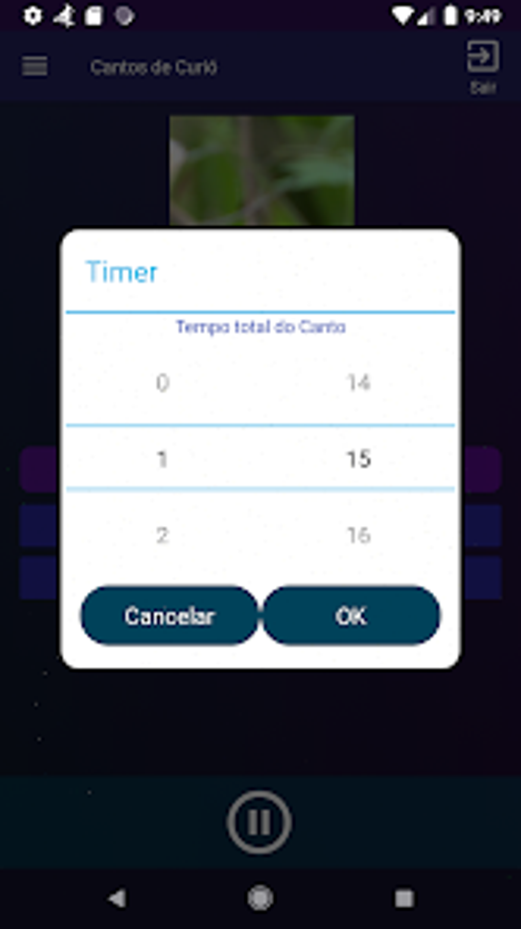 Cantos de Curió for Android - Download