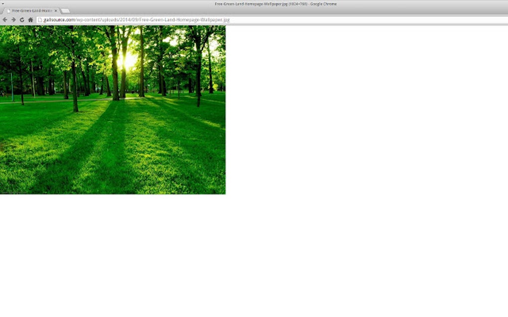 Image viewer for Google Chrome - Extension Download