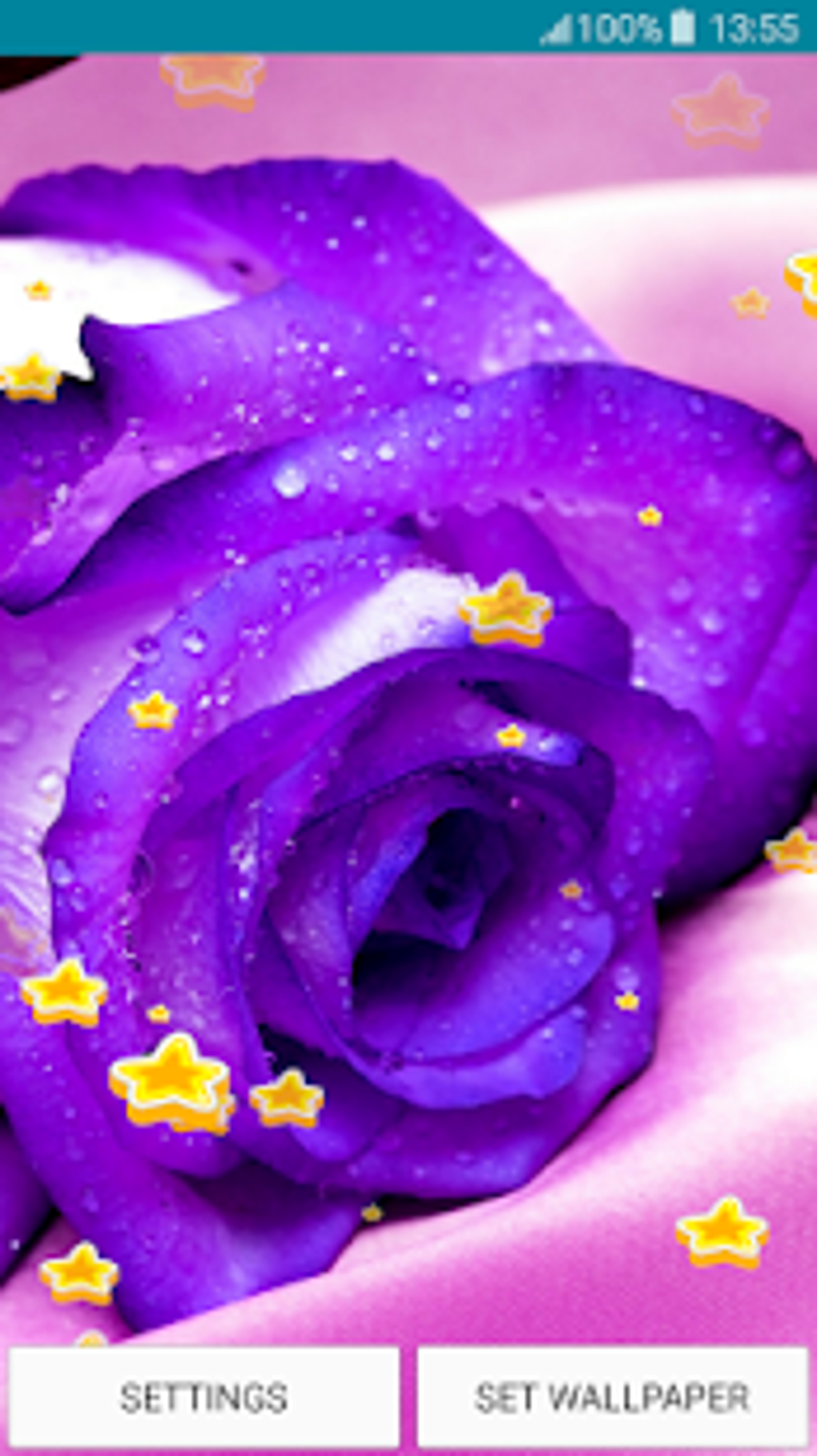 Live Wallpapers Violet Flower APK for Android - Download