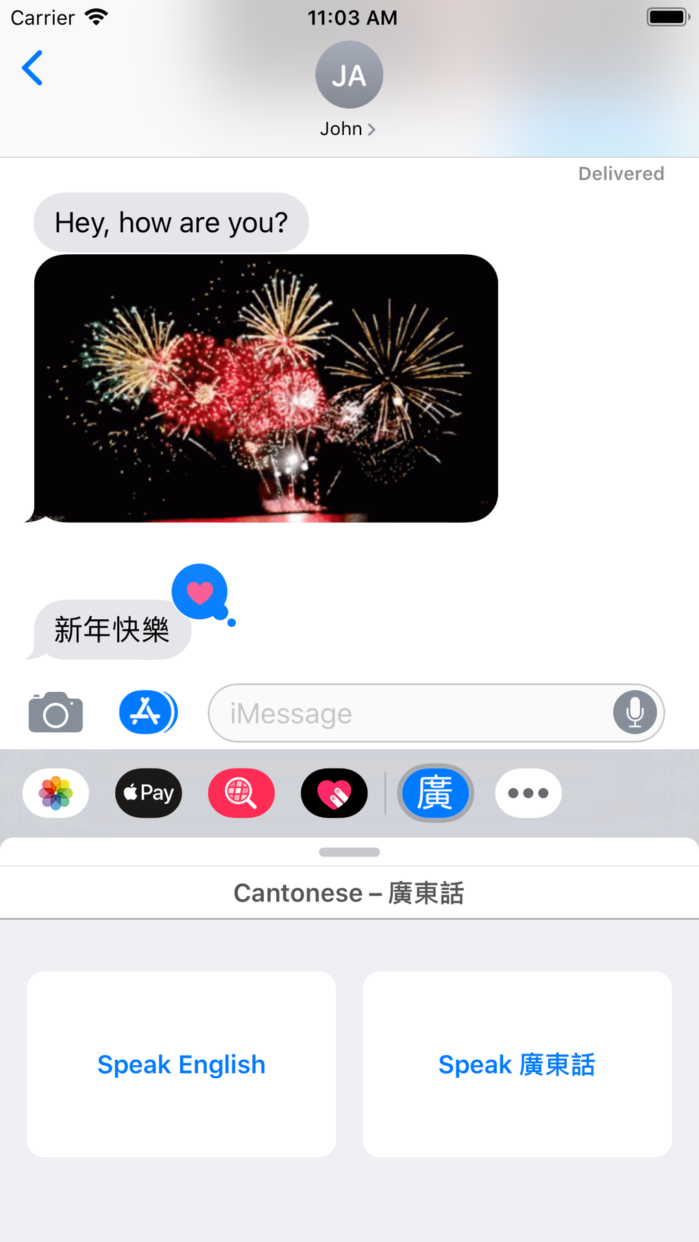 Canto Voice for iPhone - Download