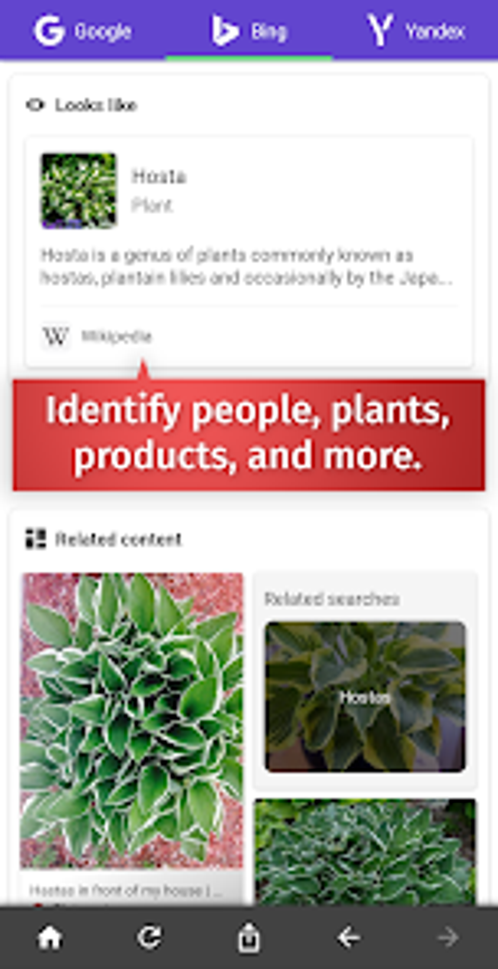 Reverse Image Search rimg für Android - Download