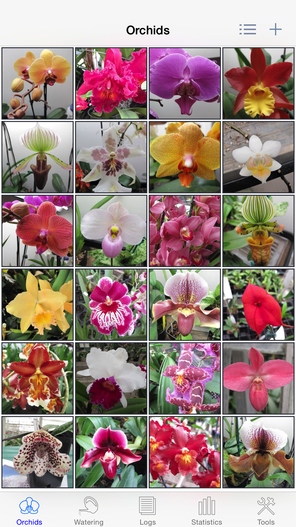 Orchid Album para iPhone - Descargar
