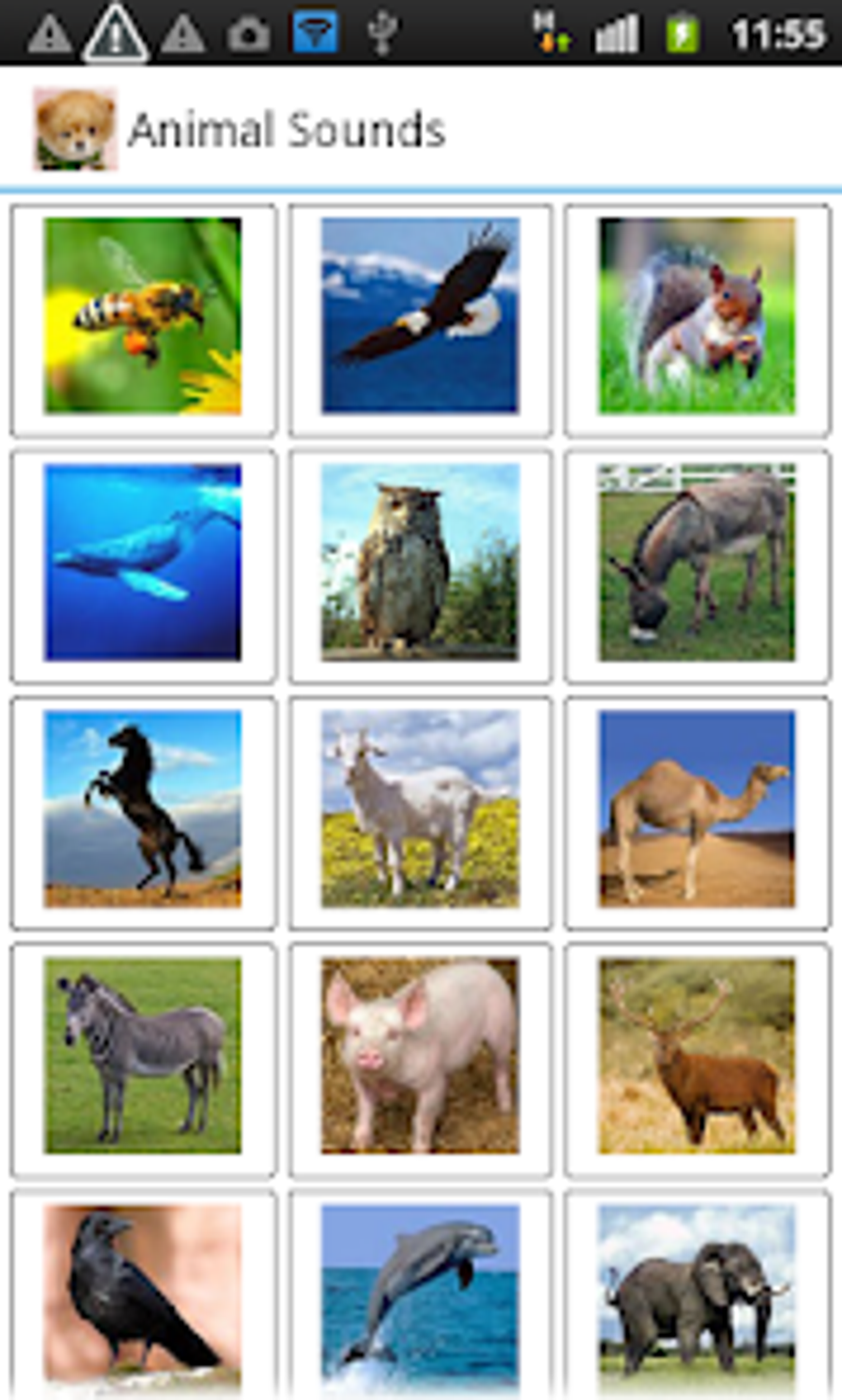 Animal Sounds cho Android - Tải về