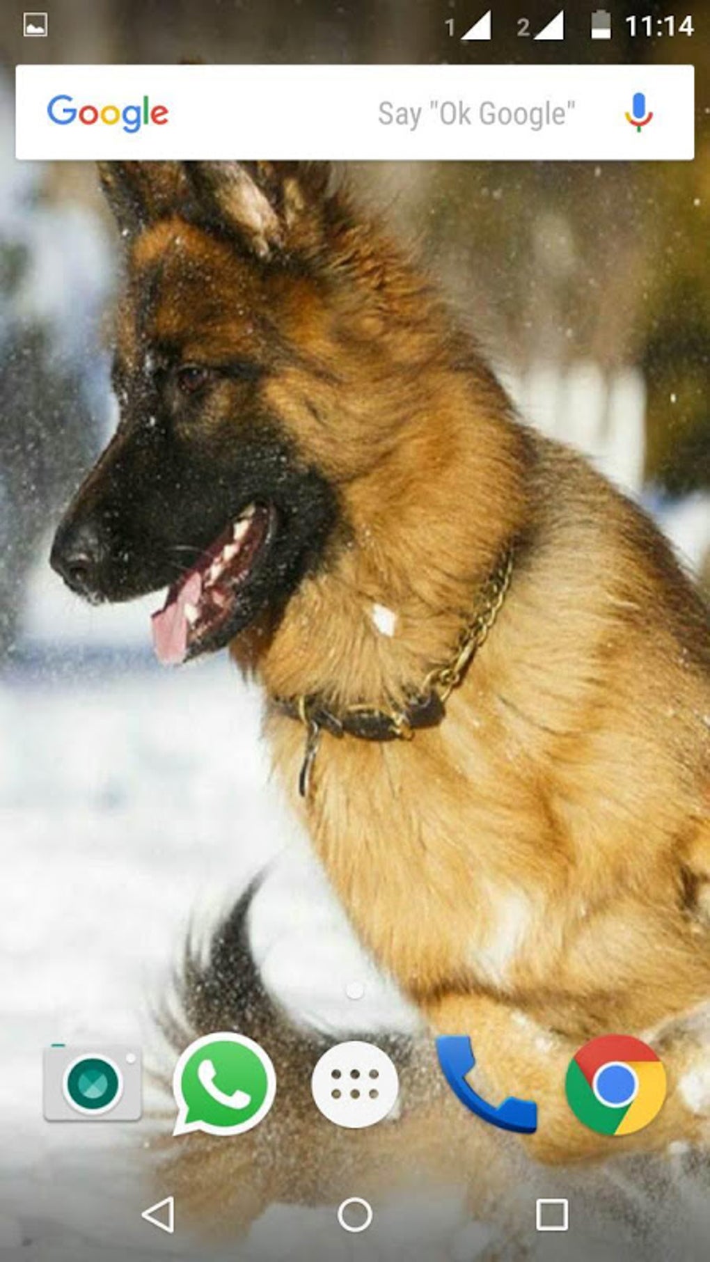 German Shepherd Dog Wallpapers APK for Android - Download