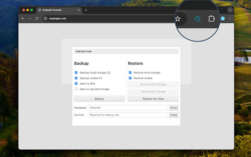 Site Storage Backup para Google Chrome - Extensión Descargar