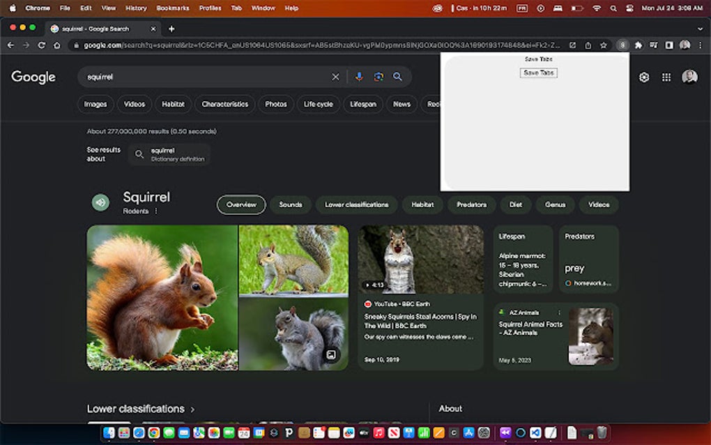 TabSurfer - Save Tabs Extension for Google Chrome - Extension Download