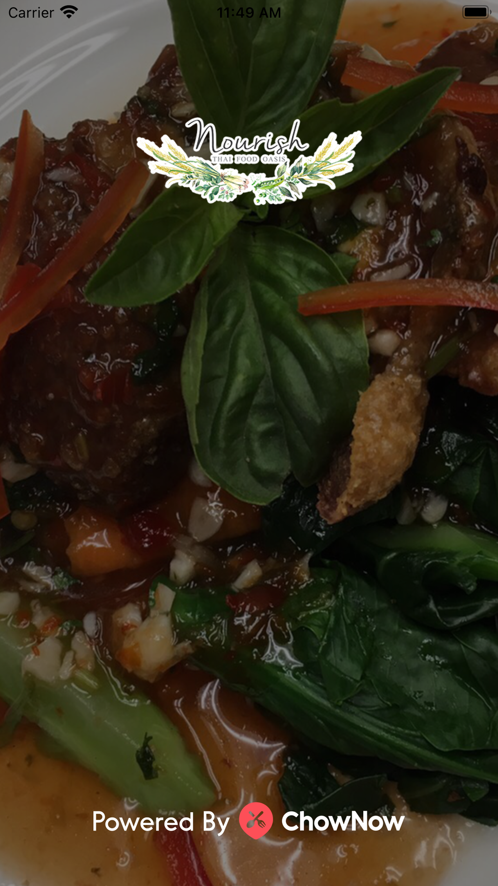 Nourish - Brooklyn NY for iPhone - Download