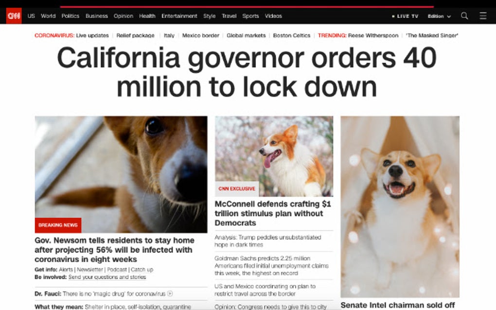 Corgi The News para Google Chrome - Extensión Descargar