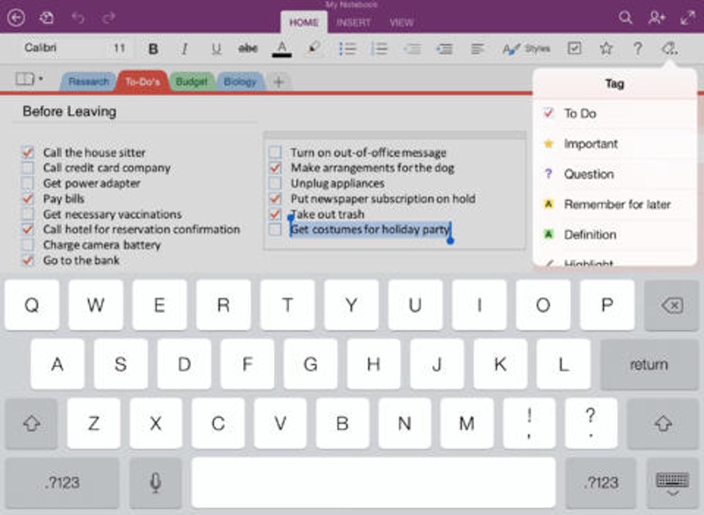 Microsoft OneNote For IPad For IPhone Download