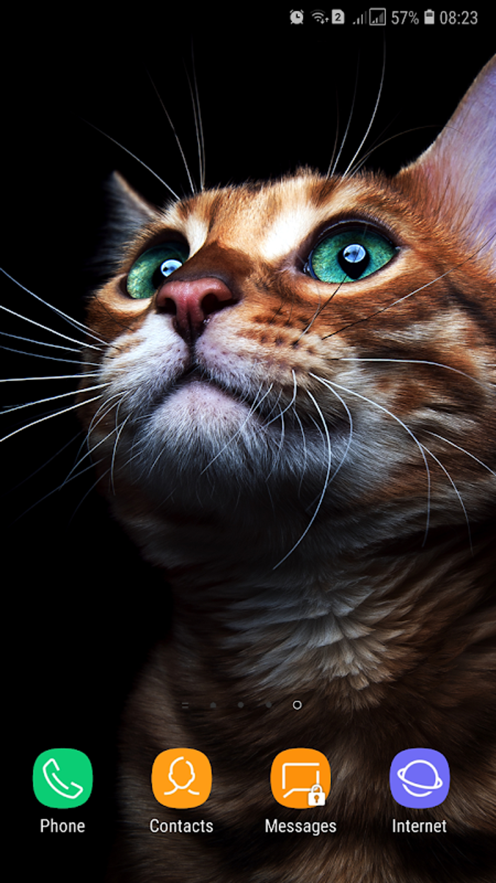 Cute Animals Wallpaper APK for Android - Download