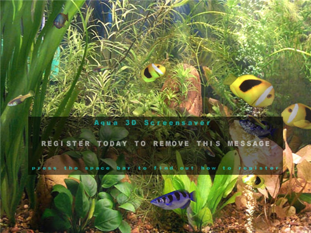 Aqua 3D Screensaver - Download